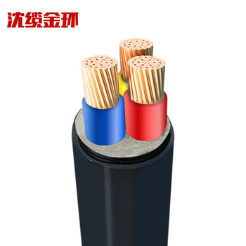 【ZR-VV 3X10】沈缆金环 ZR-VV-0.6/1KV-3*10mm² 国标铜芯阻燃电力电缆 1米【行情 报价 价格 评测】-京东