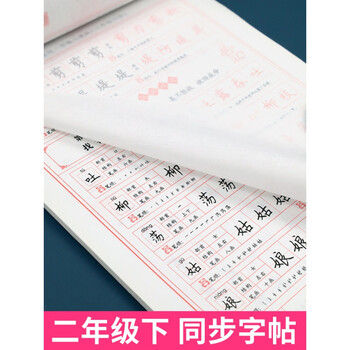 二年级练字帖下册同步练字帖每日一练人教版写字课课练田英章楷书临摹儿童小学生专用语文下学期描红练习册控笔训练同步字帖 二年级下册同步练字帖(带摹纸)