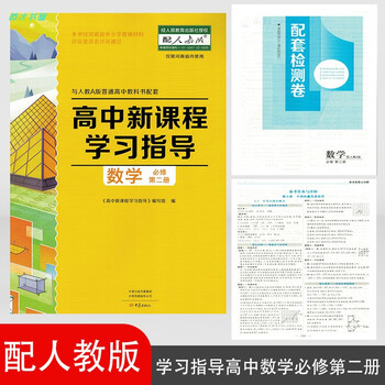 大象版高中新课程学习指导数学必修第二册配人教版教辅含试卷答案 数学 高一下