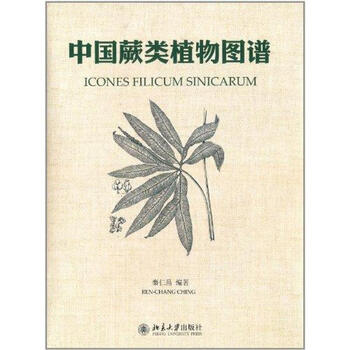 中国蕨类植物图谱