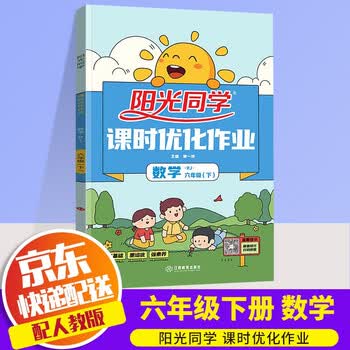 2022新版阳光同学六年级下册课时优化作业数学部编人教版小学6年级下同步教材练习作业本单元训练辅导书