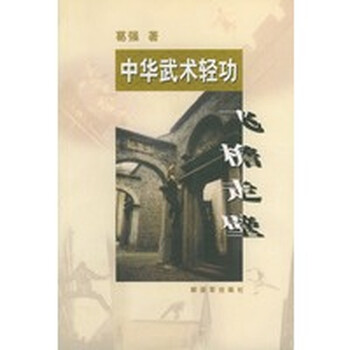 中华武术轻功飞檐走壁