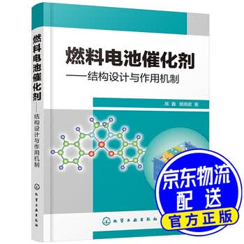 燃料电池催化剂——结构设计与作用机制