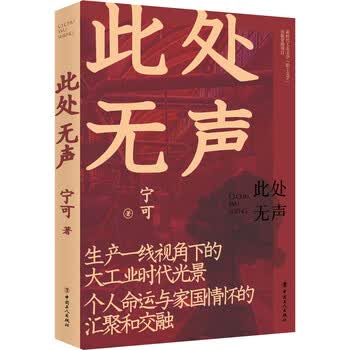 此处无声 宁可  书籍