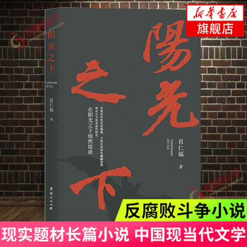 阳光之下 肖仁福 著 现实题材长篇小说反腐败斗争小说 中国现当代文学小说书籍 官场小说