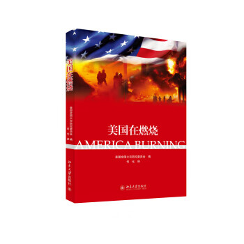 美国在燃烧【正版图书】