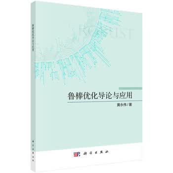 鲁棒优化导论与应用 正版