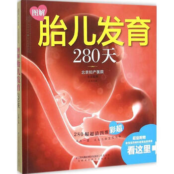 图解胎儿发育280天【正版图书，放心下单】