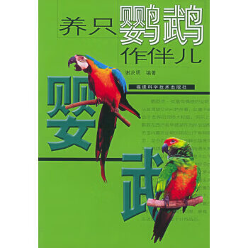 养只鹦鹉作伴儿 谢决明