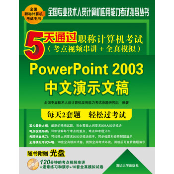 PowerPoint2003中文演示文稿 全国专业技术人员计算机应用能力考试命题研 清华大学出版社