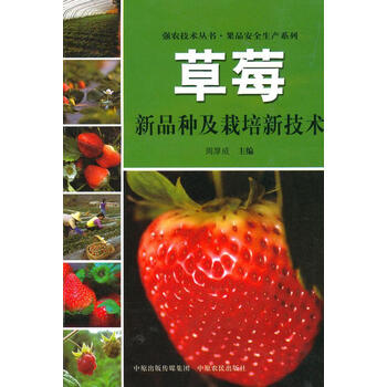 草莓新品种及栽培新技术【正版图书】