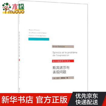 斯宾诺莎与表现问题/当代法国思想文化译丛