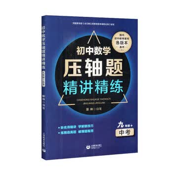 初中数学压轴题精讲精练九年级+中考国内初中数学教材各版本通用版同步专项训练题刷题知识大全难题答题解题