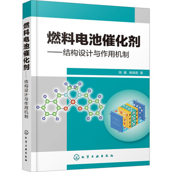 燃料电池催化剂——结构设计与作用机制 陈鑫,赖南君 著 一般工业技术 WX