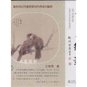 画意摄影 王晓军 中国电力出版社