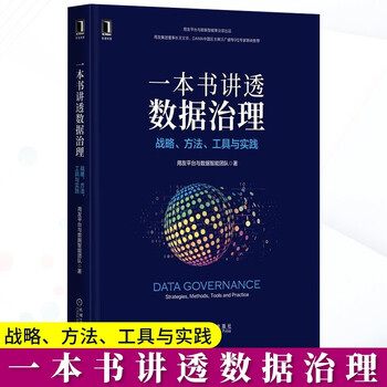 一本书讲透数据治理：战略、方法、工具与实践 机械工业出版社 计算机与互联网 大数据与云计算 用友平台与数据智能团队 一本书讲透数据治理：战略、方法、工具与实践