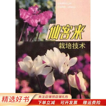 仙客来栽培技术 王云山