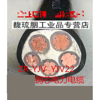 硬铜芯架空地埋电缆YJV-YJV22-2芯3芯4芯3+1-5芯-25-35平方 外用ZRCYJV4X25【图片 价格 品牌 报价】-京东