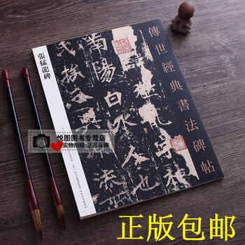 北魏张猛龙碑 传世经典书法碑帖19 魏碑字帖 北魏楷书原碑帖 附释文 河北教育出版社