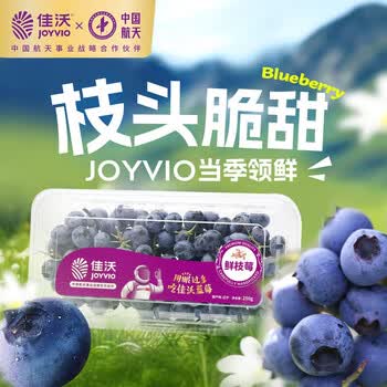 佳沃（joyvio）水果京东自营旗舰店 - 京东佳沃蓝莓