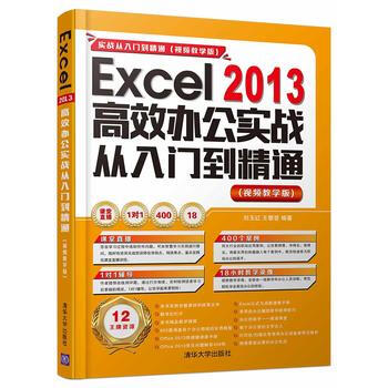 Excel 2013高效办公实战从入门到精通 (视频教学版)