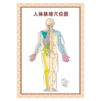 中医宣传画挂图中药配伍禁忌歌十八反十九畏歌脊柱图墙贴画WSA WSA36 人体脉络穴位图 120*80厘米 覆膜防水PP贴纸