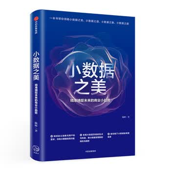小数据之美 如何预见自我、世界与未来 中信出版社
