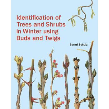 Identification of Trees and Shrubs in Winter...