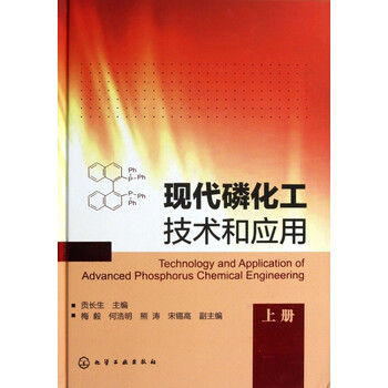 现代磷化工技术和应用(上)(精)