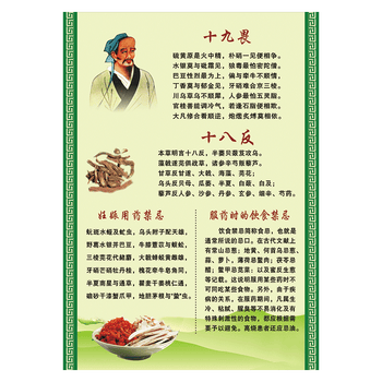 中药十八反歌十九畏歌挂图妊娠用药禁忌中医宣传画贴画WSA WSA49 十九畏十八反 80*60厘米