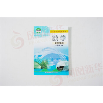 (9下)数学