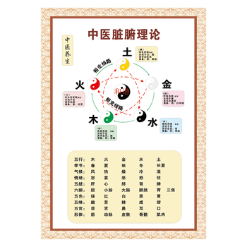 中医宣传画挂图中药配伍禁忌歌十八反十九畏歌脊柱图墙贴画WSA WSA35 中医脏腑理论 60*40厘米 覆膜防水PP贴纸