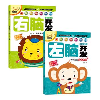 左右脑开发 专注力训练 2~6岁全8册 幼儿全脑逻辑思维训练早教启蒙 儿童智力开发益智游戏书 5~6岁2册