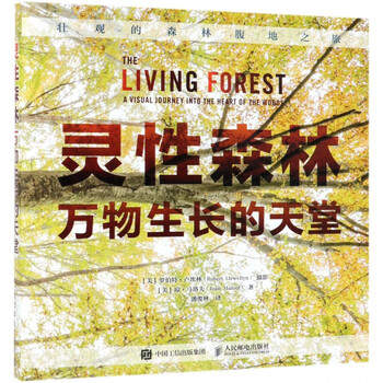 灵性森林(万物生长的天堂)