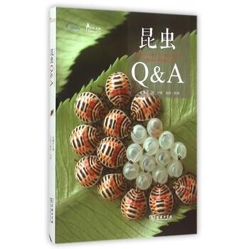 昆虫Q&A(自然观察)