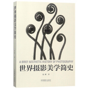 世界摄影美学简史