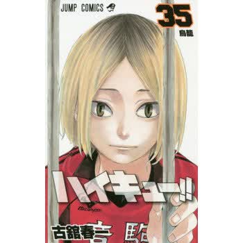 进口日文 排球少年 ハイキュー!! 35