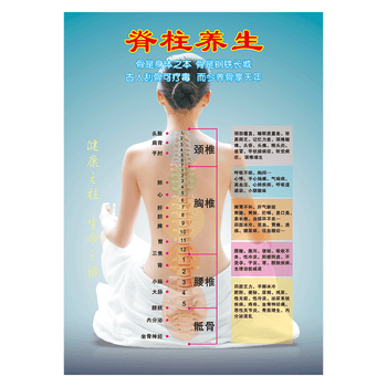 中医宣传画挂图中药配伍禁忌歌十八反十九畏歌脊柱图墙贴画WSA WSA38 脊柱养生 80*60厘米 覆膜防水PP贴纸