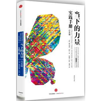 当下的力量实践手册 托利著 华语心灵作家张德芬推荐