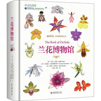 兰花博物馆