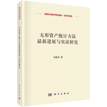 无形资产统计方法与实证研究 社会科学 书籍
