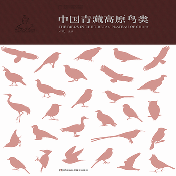 中国野生鸟类系列图书：中国青藏高原鸟类