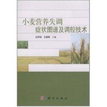 小麦营养失调
