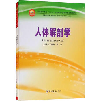人体解剖学