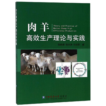 肉羊高效生产理论与实践