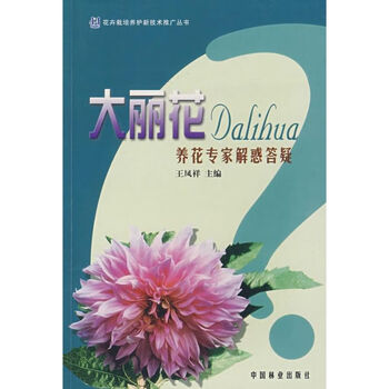 大丽花-养花专家解惑答疑