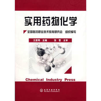 实用药物化学 王质明 主编