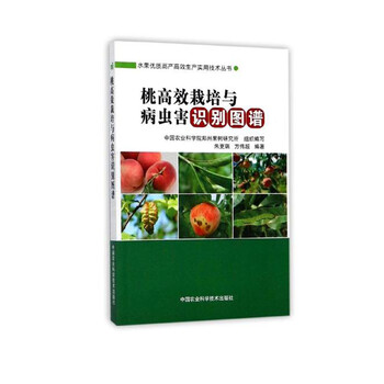 正版书籍 桃高效栽培与病虫害识别图谱 朱更瑞桃树栽培技术桃树修剪管理技术果树种植栽培技术大全常见病