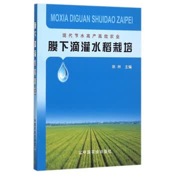 膜下滴灌水稻栽培(现代节水高产高效农业)
