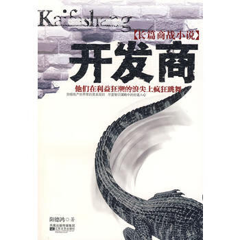 开发商 阳德鸿 9787539927053 江苏文艺出版社